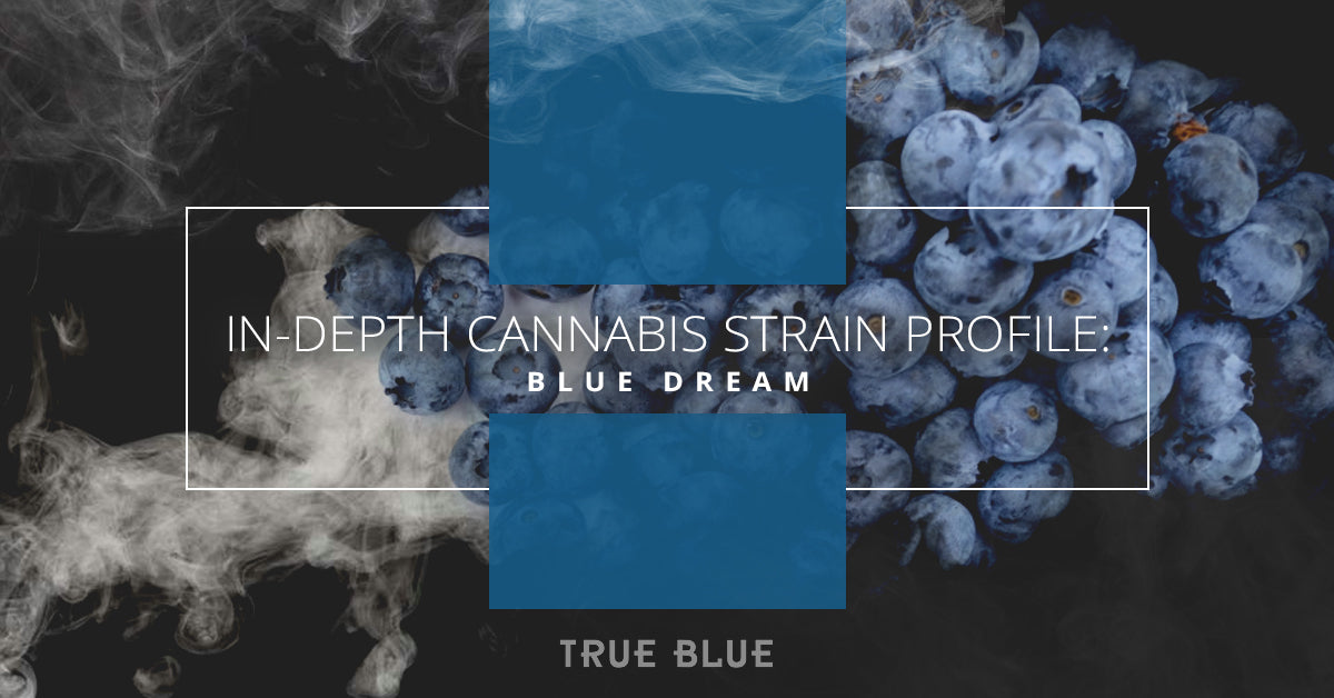 Pure Terpenes - An In-Depth Look At The Blue Dream Cannabis Strain ...